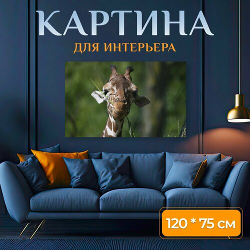 Картина на холсте "Зоопарк, жираф, пятна" на подрамнике 120х75 см. для интерьера