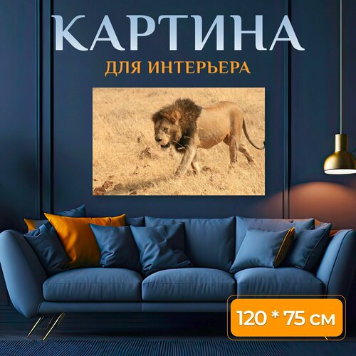 Картина на холсте "Лев, кошачий, грива" на подрамнике 120х75 см. для интерьера