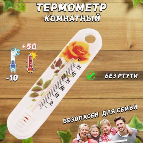 Термометр уличный/оконный для дома и теплицы (пластиковый, без ртути, 19*45см) "CH" mod:2