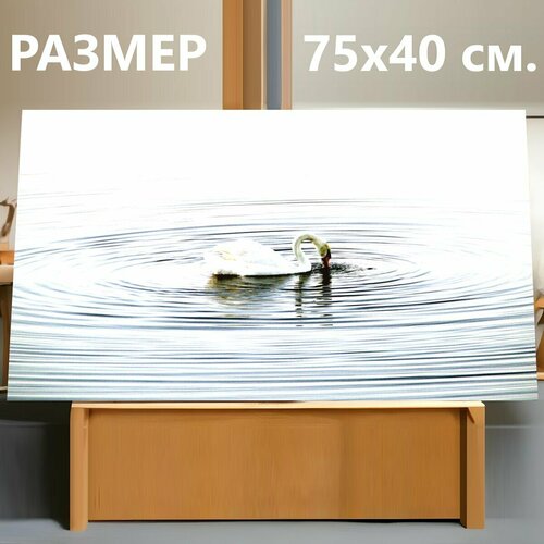 Картина на холсте "Лебедь, вода, круги" на подрамнике 75х40 см. для интерьера