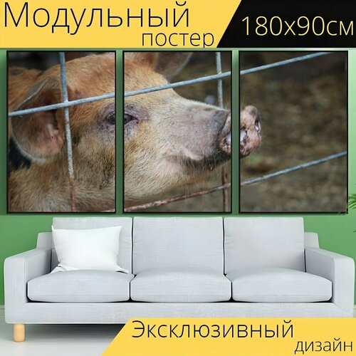 Модульный постер "Свинья, животное, ферма" 180 x 90 см. для интерьера