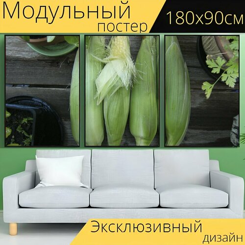 Модульный постер "Кукуруза, овощ, сад" 180 x 90 см. для интерьера