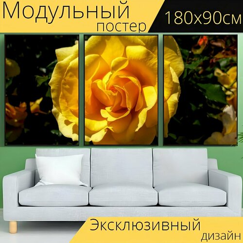 Модульный постер "Цветок, флора, желтый" 180 x 90 см. для интерьера