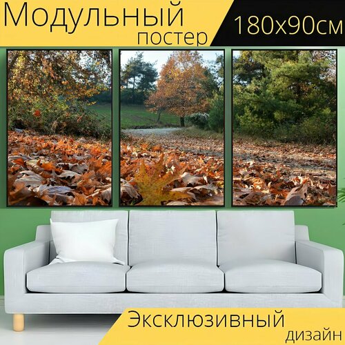 Модульный постер "Осень, сезон, природа" 180 x 90 см. для интерьера