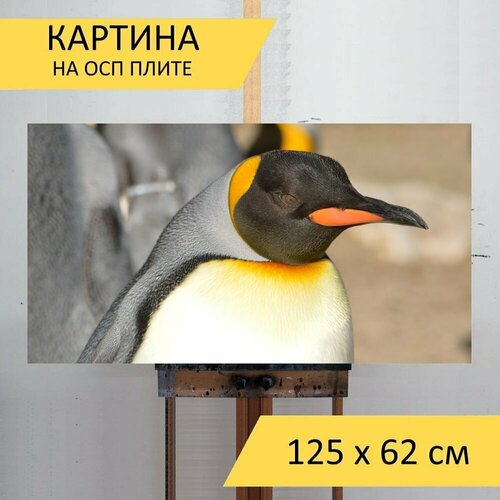 Картина на ОСП 125х62 см. "Пингвин, зоопарк" горизонтальная, для интерьера, с креплениями