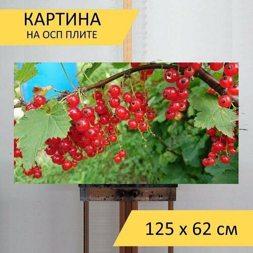 Картина на ОСП 125х62 см. "Смородина, ягода, природа" горизонтальная, для интерьера, с креплениями