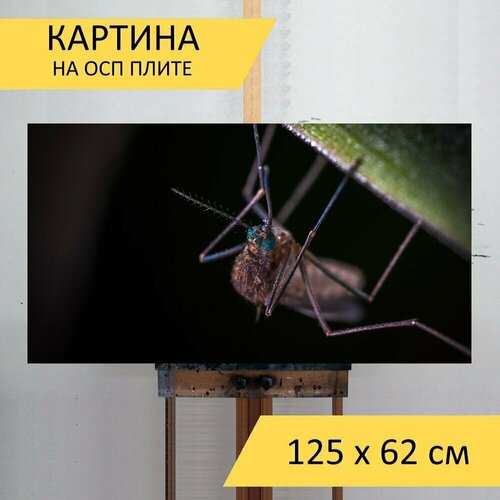 Картина на ОСП 125х62 см. "Насекомое, комар, беспозвоночное" горизонтальная, для интерьера, с креплениями
