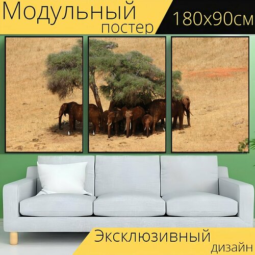 Модульный постер "Сафари, слон, африке" 180 x 90 см. для интерьера