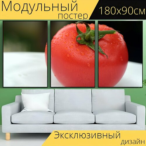 Модульный постер "Помидор, овощи, еда" 180 x 90 см. для интерьера
