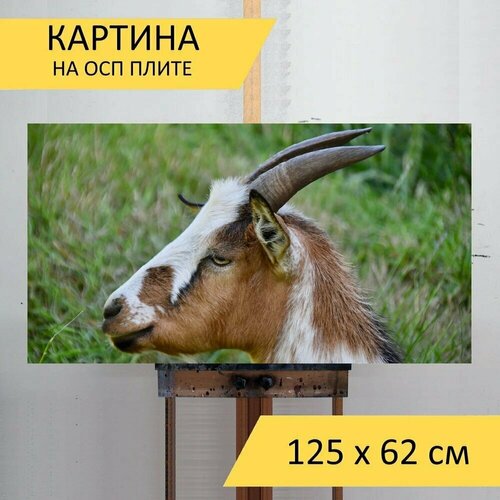 Картина на ОСП 125х62 см. "Коза, козел, козел имеет рога" горизонтальная, для интерьера, с креплениями