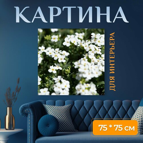 Картина на холсте "Подушка цветок, белый, расцветает" на подрамнике 75х75 см. для интерьера