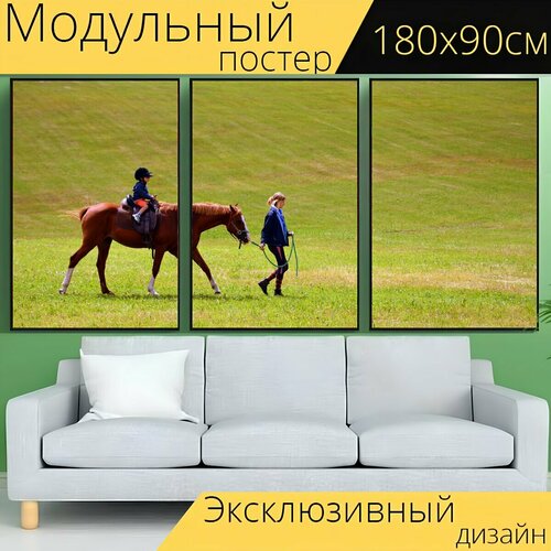 Модульный постер "Лошадь, скачки, поездка" 180 x 90 см. для интерьера