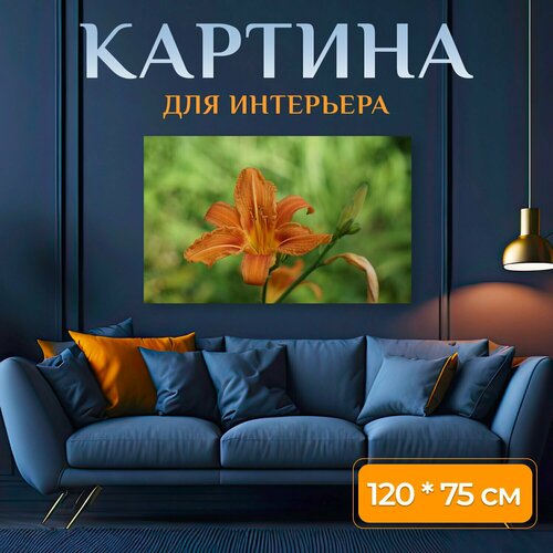 Картина на холсте "Лили, лилейник, цветок" на подрамнике 120х75 см. для интерьера
