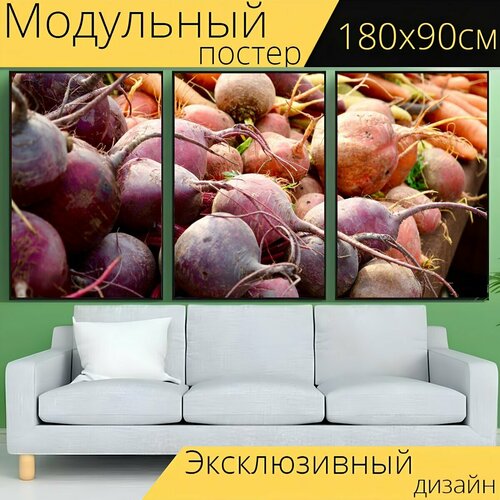 Модульный постер "Овощи, фермерский рынок, свекла" 180 x 90 см. для интерьера