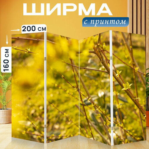 Ширма перегородка с принтом "Цветы, ветви, солнечный свет" на холсте - 200x160 см. для зонирования, раскладная