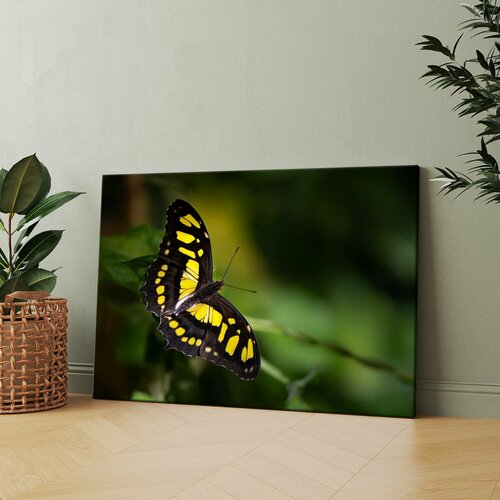 Картина на холсте (Бабочка сидит на листе) 30x40 см. Интерьерная, на стену.