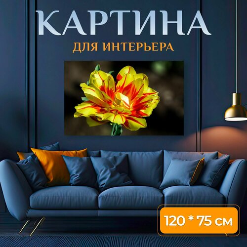 Картина на холсте "Тюльпан, цветок, природа" на подрамнике 120х75 см. для интерьера