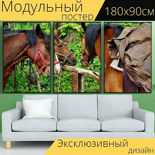 Модульный постер "Лошади, животные, дикой природы" 180 x 90 см. для интерьера