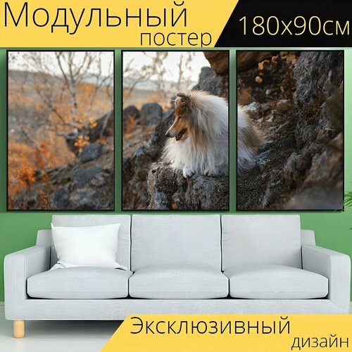 Модульный постер "Склон горы, собака, домашнее животное" 180 x 90 см. для интерьера