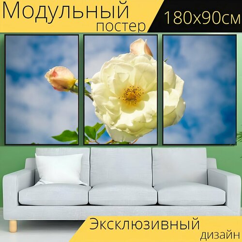 Модульный постер "Цветок, роза, цвести" 180 x 90 см. для интерьера