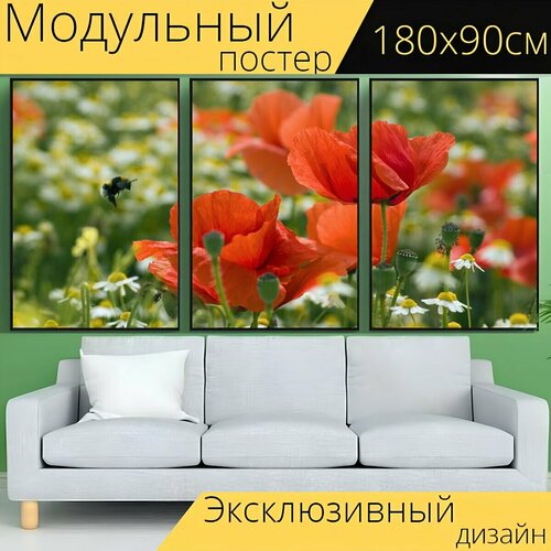 Модульный постер "Маки, цветы, весна" 180 x 90 см. для интерьера