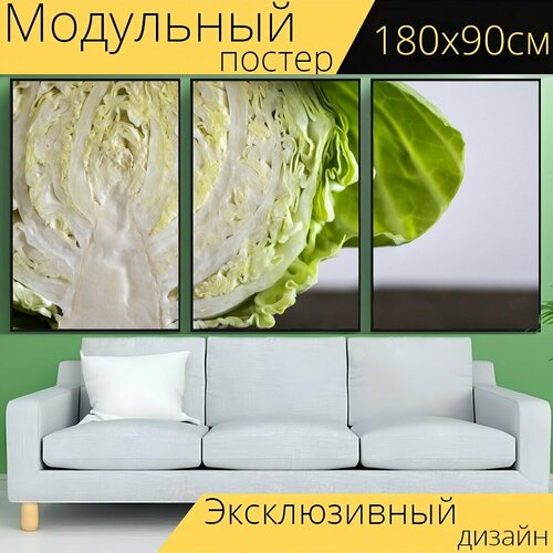 Модульный постер "Белый, капуста, овощи" 180 x 90 см. для интерьера