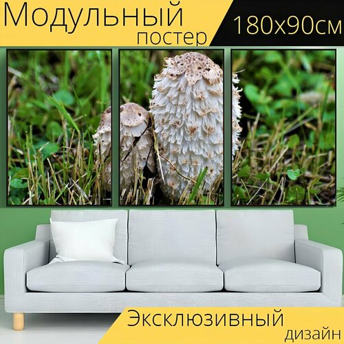 Модульный постер "Грибы, трава, лесные грибы" 180 x 90 см. для интерьера