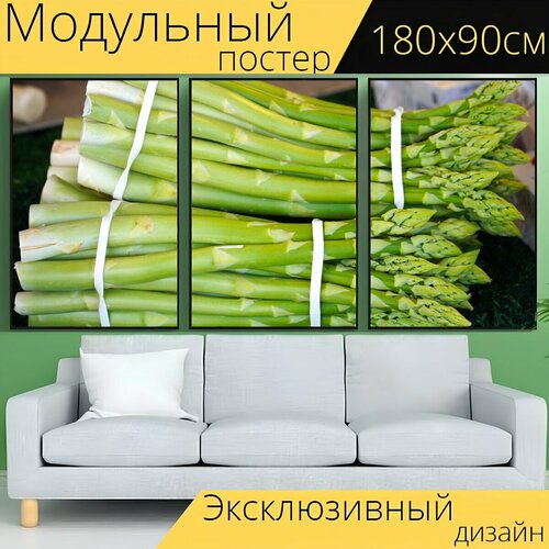 Модульный постер "Спаржа, овощ, связки" 180 x 90 см. для интерьера