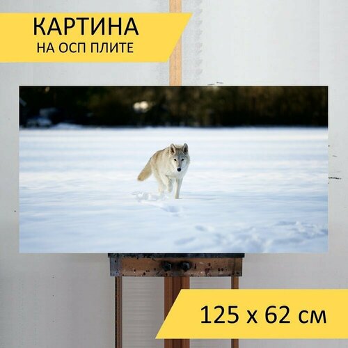 Картина на ОСП 125х62 см. "Волк, собачий, снег" горизонтальная, для интерьера, с креплениями