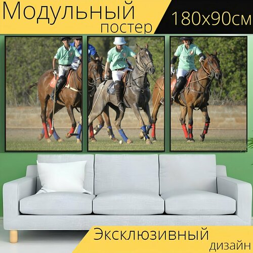 Модульный постер "Лошадь, лошади, поло" 180 x 90 см. для интерьера