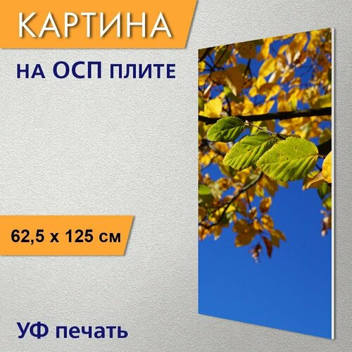Вертикальная картина на ОСП "Падение, лист, осенние листья" 62x125 см. для интерьериа