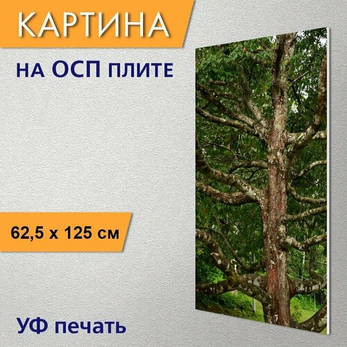 Вертикальная картина на ОСП "Ветви, дерево, окружающая обстановка" 62x125 см. для интерьериа