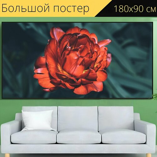 Большой постер "Цветок, красный цветок, красивый цветок" 180 x 90 см. для интерьера