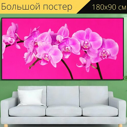 Большой постер "Розовый, орхидея, цветок" 180 x 90 см. для интерьера