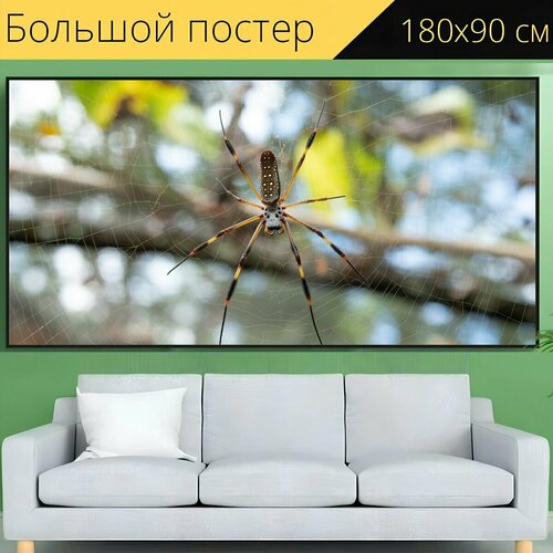 Большой постер "Банановый паук, паук, сеть" 180 x 90 см. для интерьера