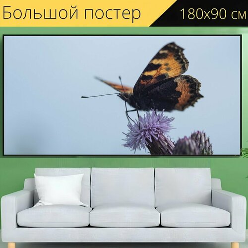 Большой постер "Бабочка, насекомое, крылья" 180 x 90 см. для интерьера