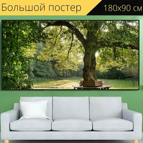Большой постер "Дерево, банк, природа" 180 x 90 см. для интерьера