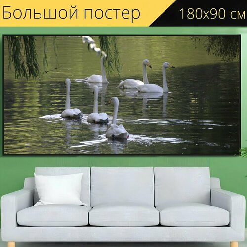 Большой постер "Лебеди, птицы, озеро" 180 x 90 см. для интерьера