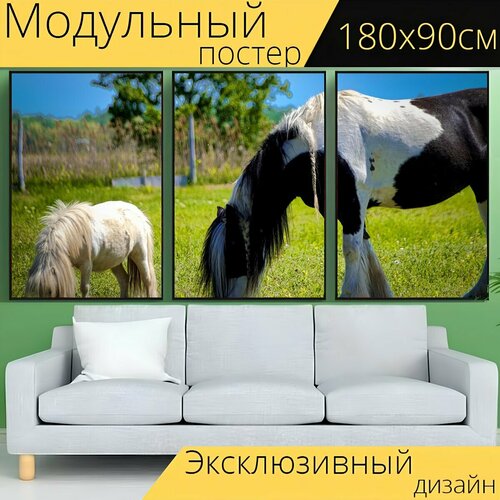 Модульный постер "Лошадь, лошади, луг" 180 x 90 см. для интерьера