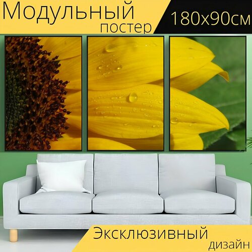 Модульный постер "Подсолнечник, цветок, желтый" 180 x 90 см. для интерьера