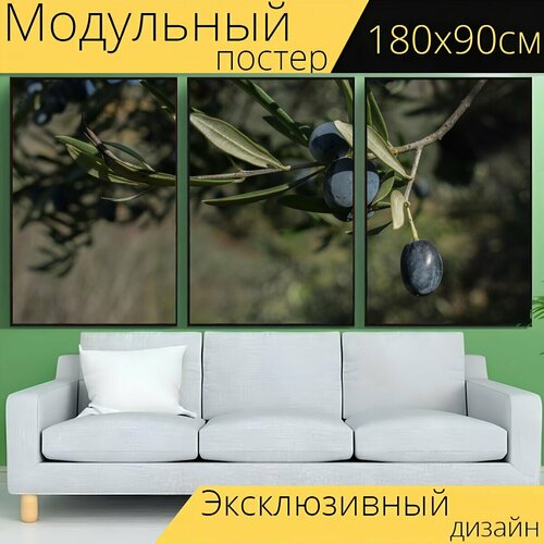Модульный постер "Оливки, фрукты, природа" 180 x 90 см. для интерьера
