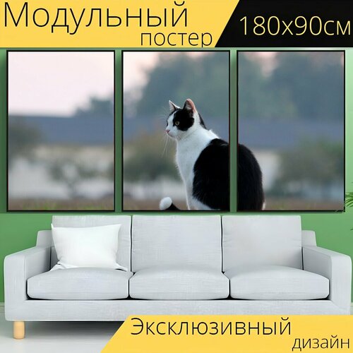 Модульный постер "Кот, домашнее животное, портрет" 180 x 90 см. для интерьера