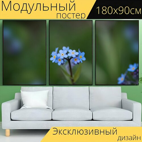 Модульный постер "Не забывай меня, цветок, синий" 180 x 90 см. для интерьера