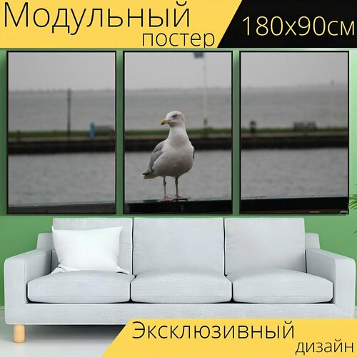 Модульный постер "Чайка, птица, полет" 180 x 90 см. для интерьера