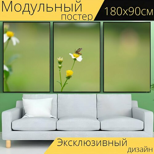 Модульный постер "Полевые цветы, пчела, цветочная пыльца" 180 x 90 см. для интерьера