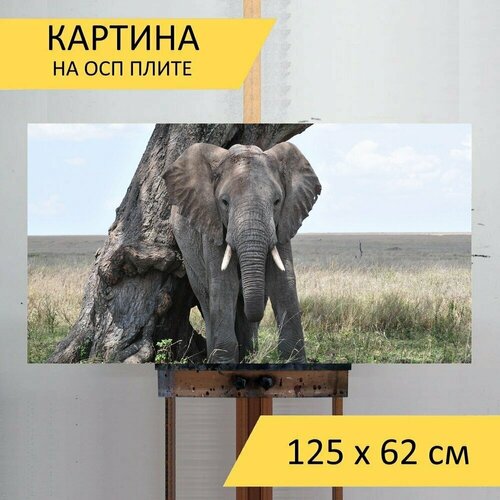 Картина на ОСП 125х62 см. "Слон, серенгети, африке" горизонтальная, для интерьера, с креплениями