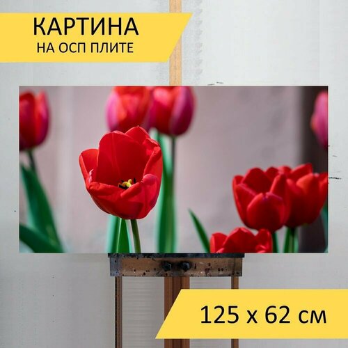 Картина на ОСП 125х62 см. "Тюльпан, тюльпаны, цветы" горизонтальная, для интерьера, с креплениями