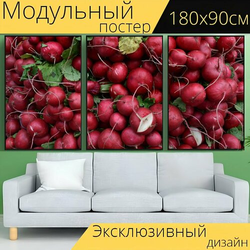 Модульный постер "Овощи, красный, редис" 180 x 90 см. для интерьера