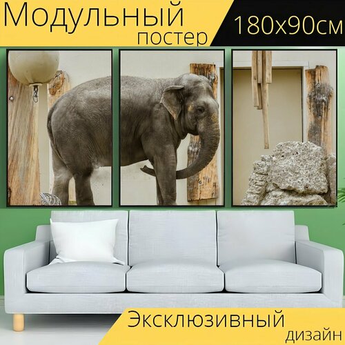 Модульный постер "Слон, ствол, толстокожий" 180 x 90 см. для интерьера