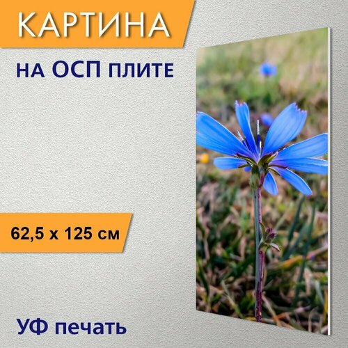 Вертикальная картина на ОСП "Голуб цветок, луговые цветы, сентябрь" 62x125 см. для интерьериа